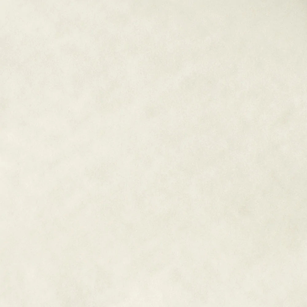 Paper tasting Translucent Vol.1